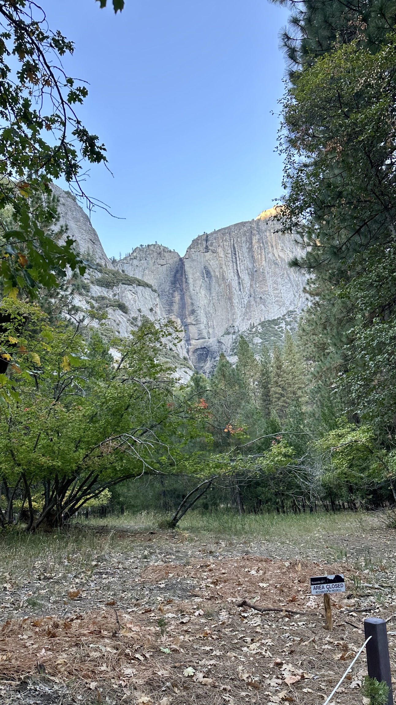 Yosemite National Park – Call Me Mochelle
